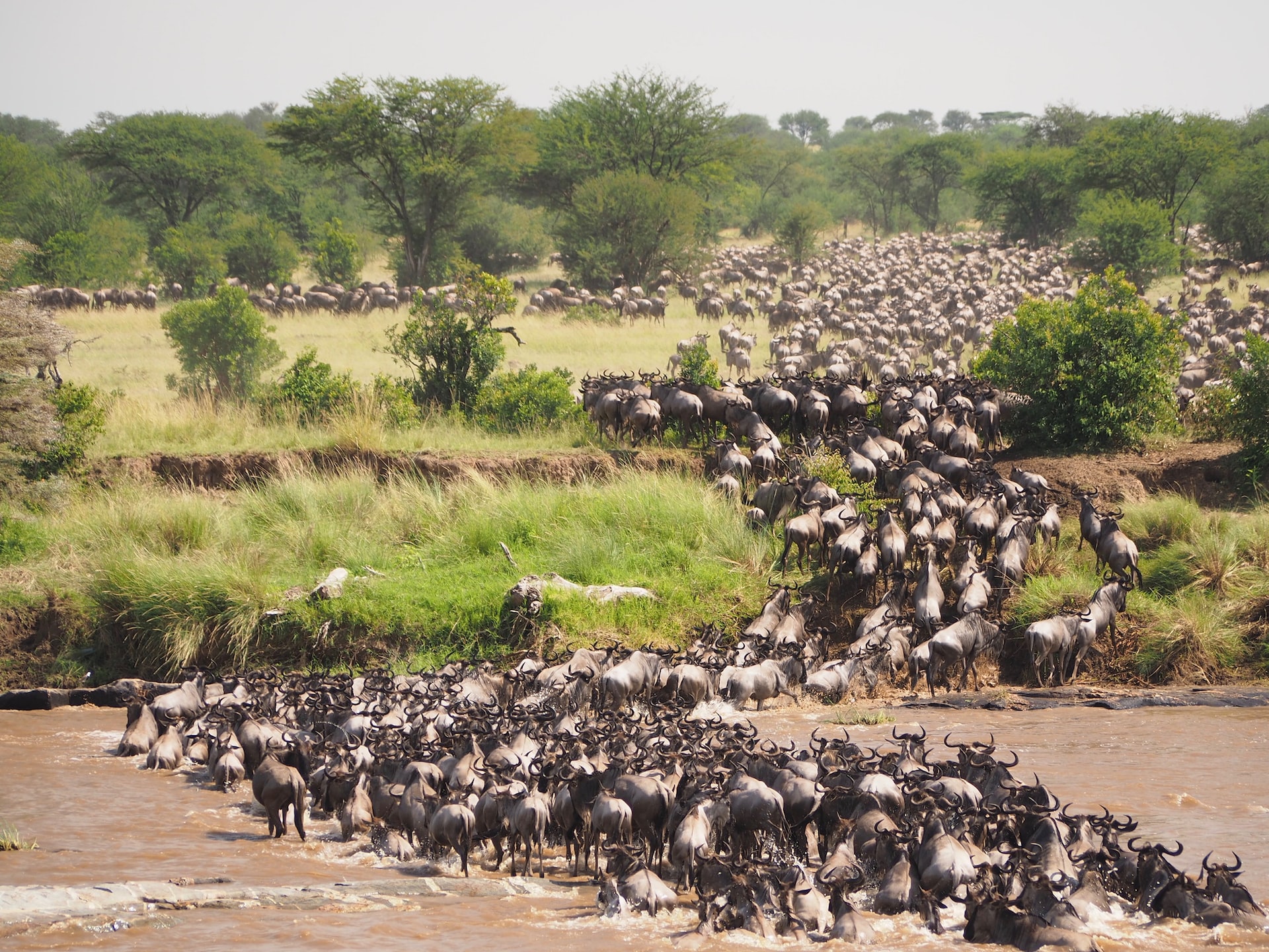 Explore East Africa Safaris & African Safari Holidays